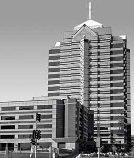 Excelian / Contact - Johannesburg